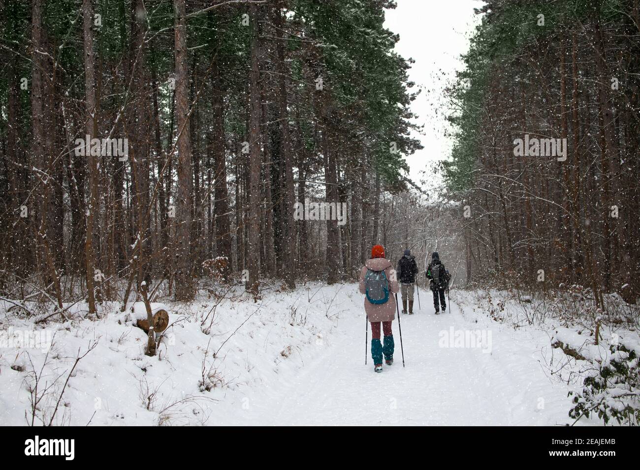 Cold winter show hi-res stock photography and images - Alamy
