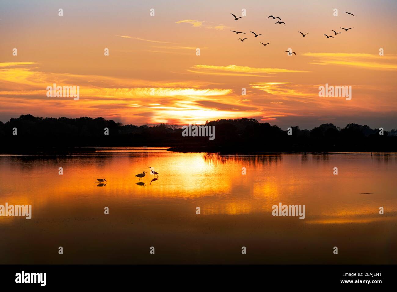 Lagoon collection hi-res stock photography and images - Alamy