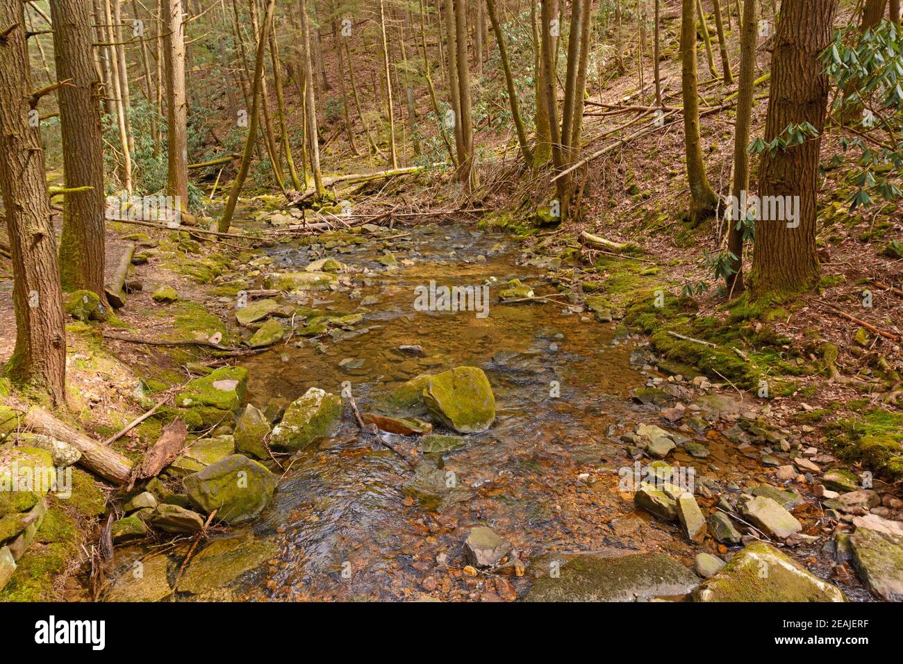 Pretty Mountain Stream Running Through the Forest Stock Photo - Alamy