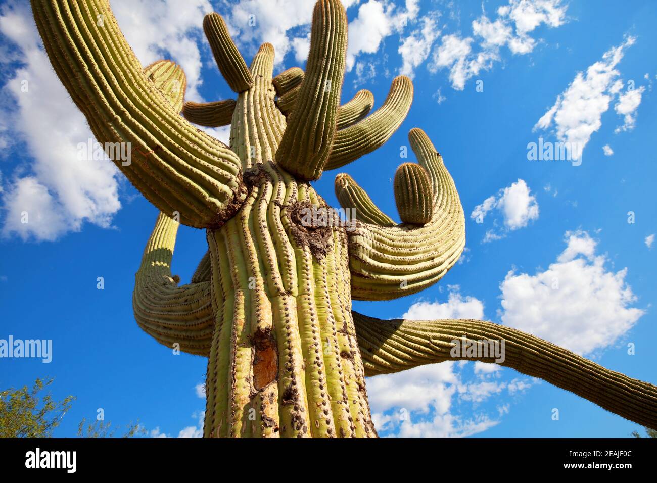 Dawn over suburb hi-res stock photography and images - Alamy