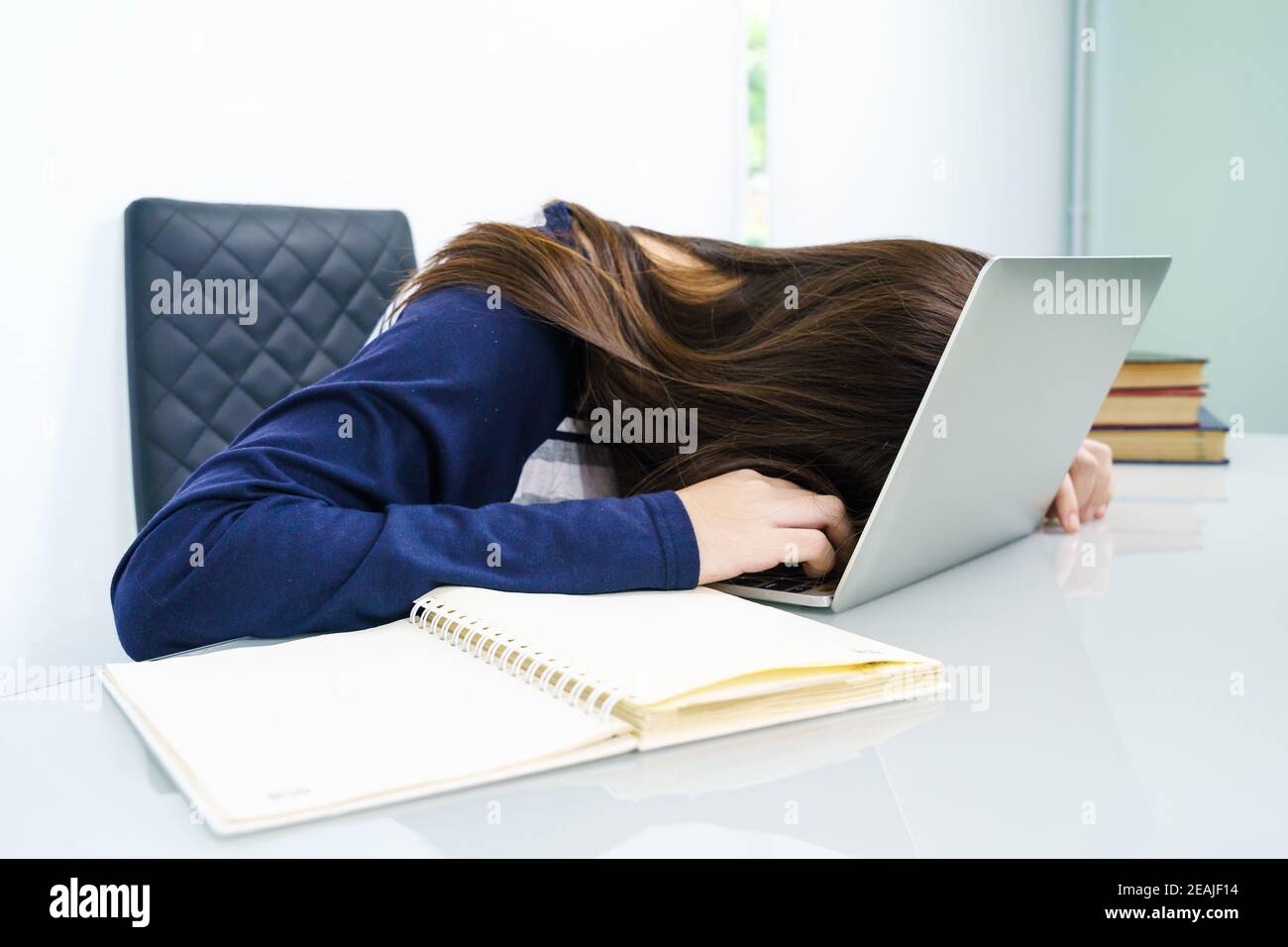 Young woman long hair fall asleep on desk with laptop Stock Photo - Alamy