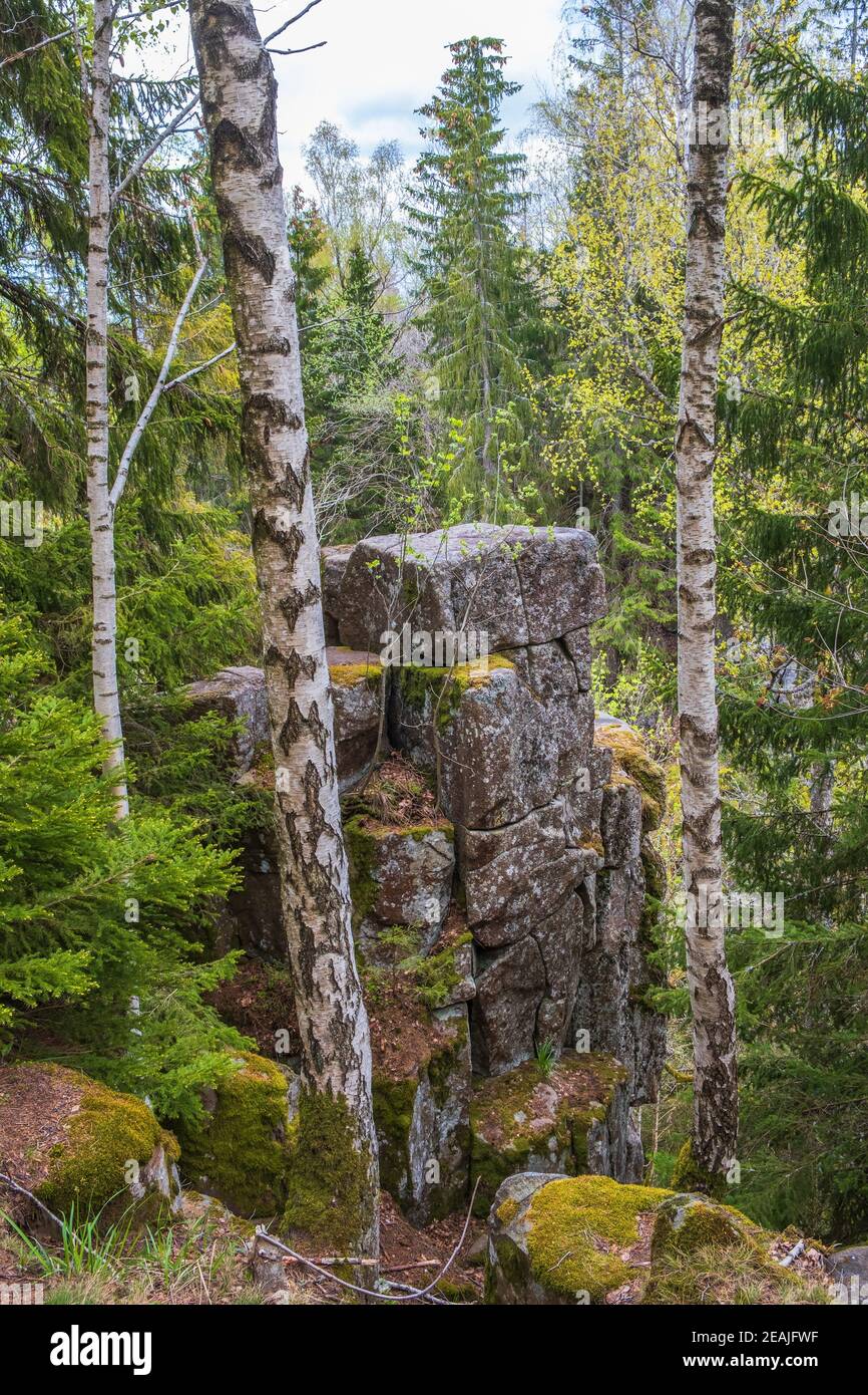 Woodland landscape rock hi-res stock photography and images - Alamy
