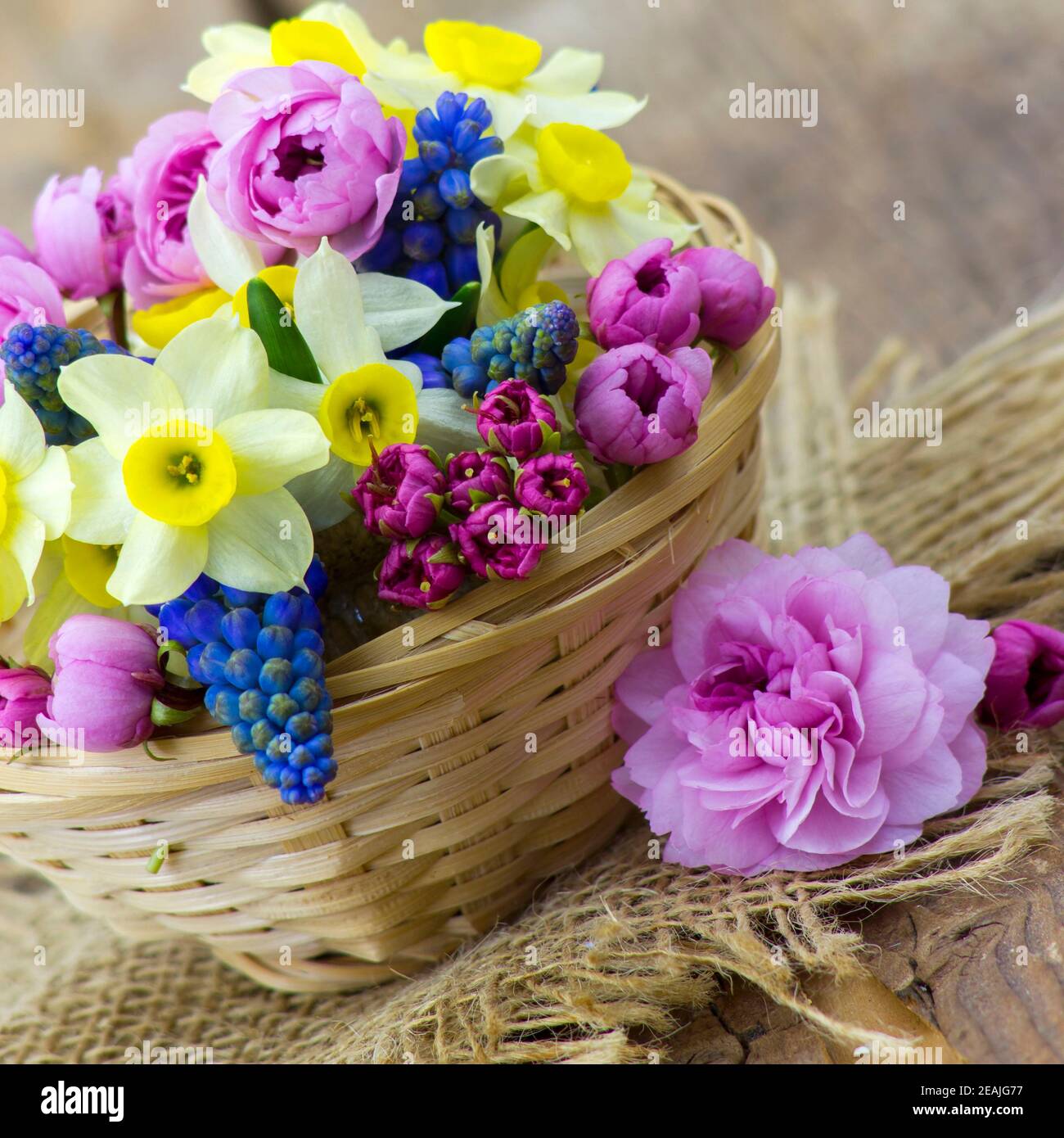 spring flowers bouquet - wooden background Stock Photo - Alamy