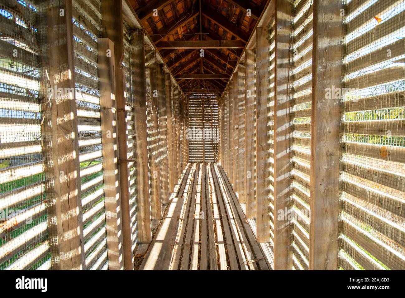 Diagonal columns building hi-res stock photography and images - Alamy