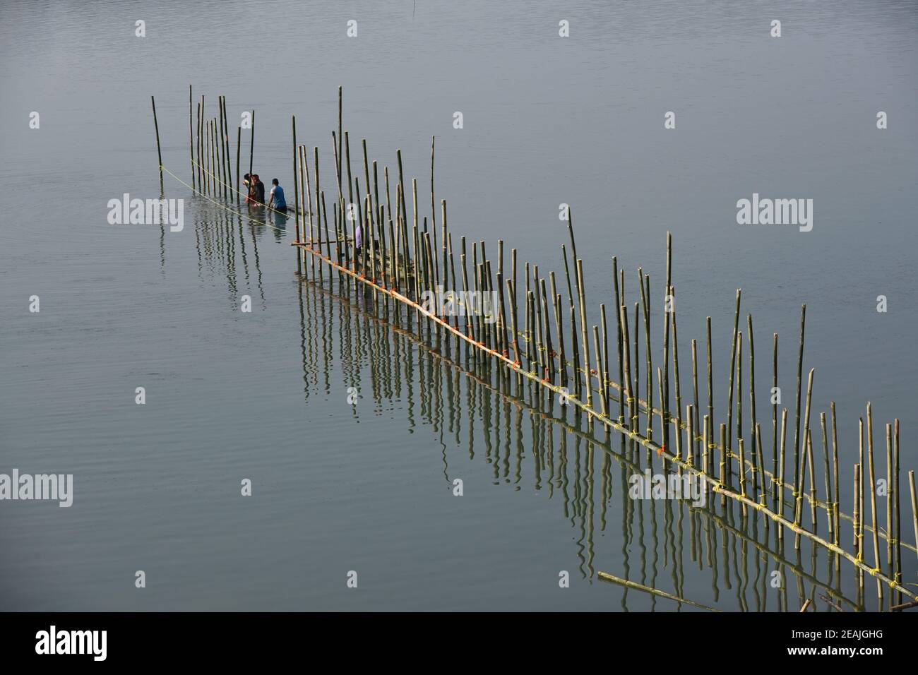 February 9, 2021, Guwahati, Assam, India: Workers constructing a bamboo ...