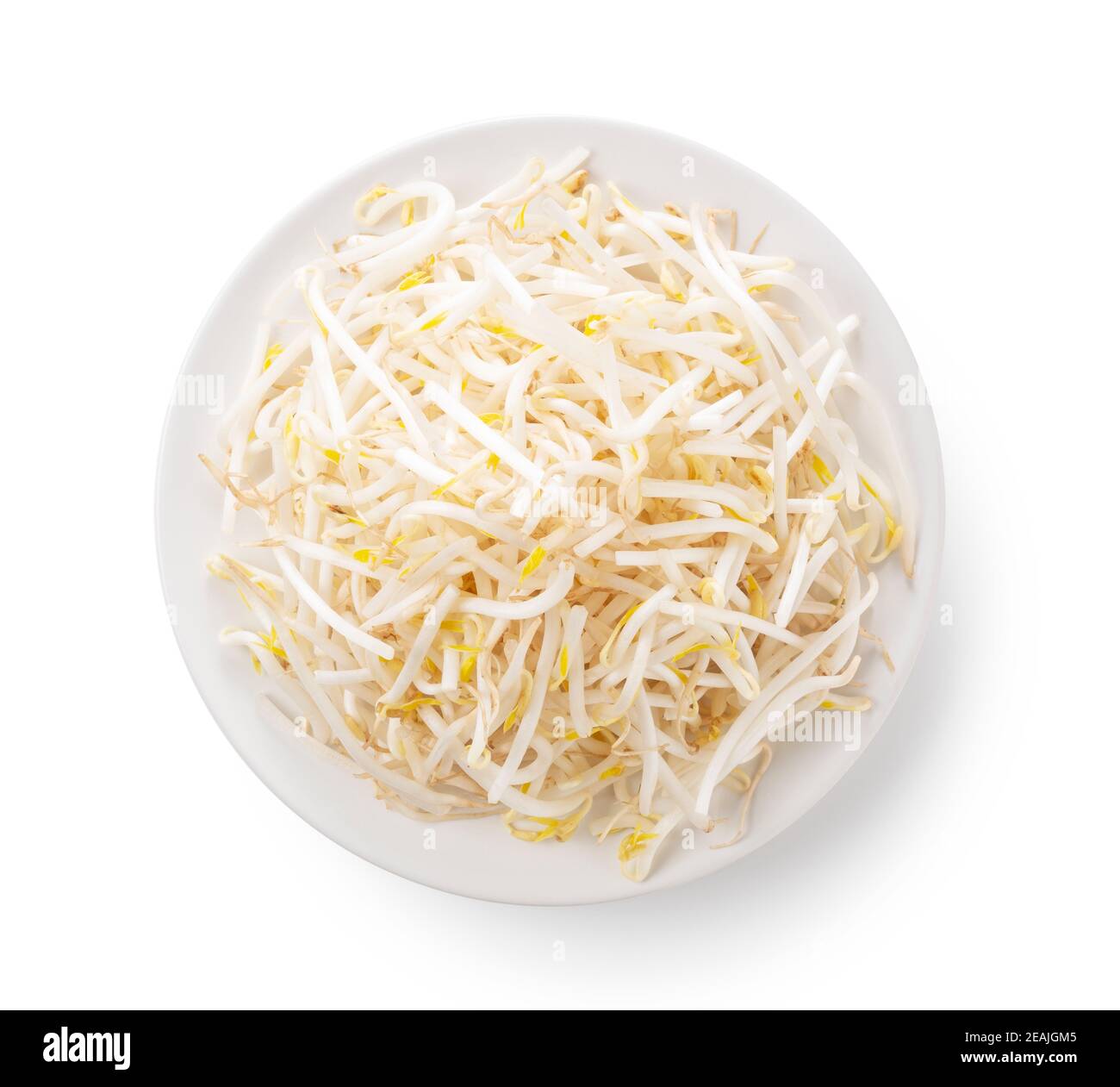 Sprouts in a plate on a white background Stock Photo - Alamy