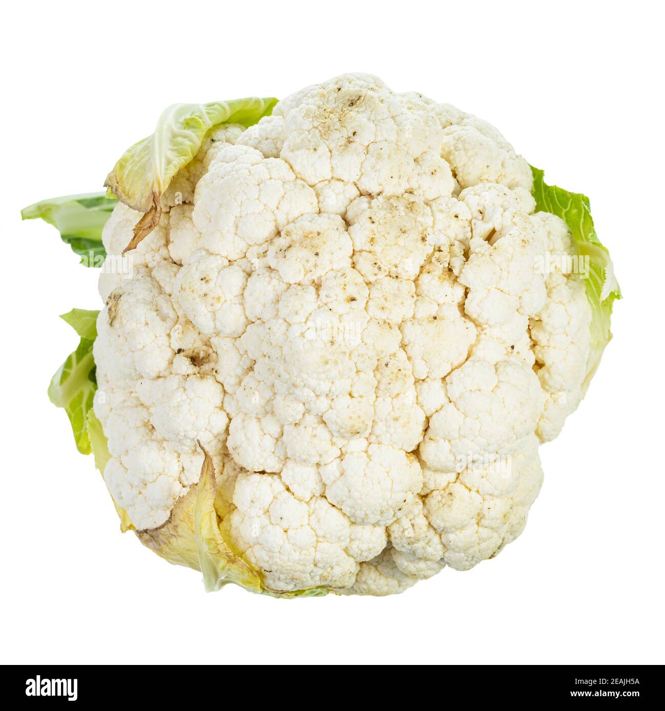 top view of fresh ripe Cauliflower isolated Stock Photo - Alamy