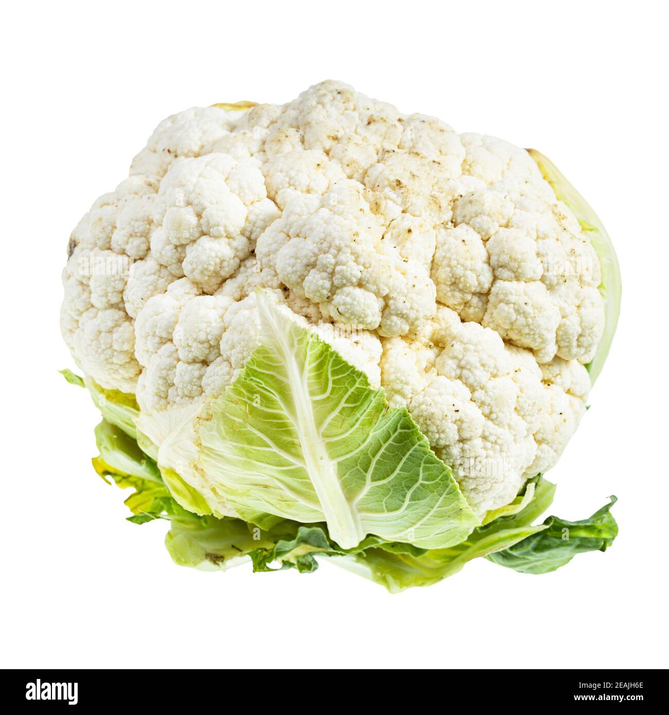 fresh ripe Cauliflower isolated on white Stock Photo - Alamy