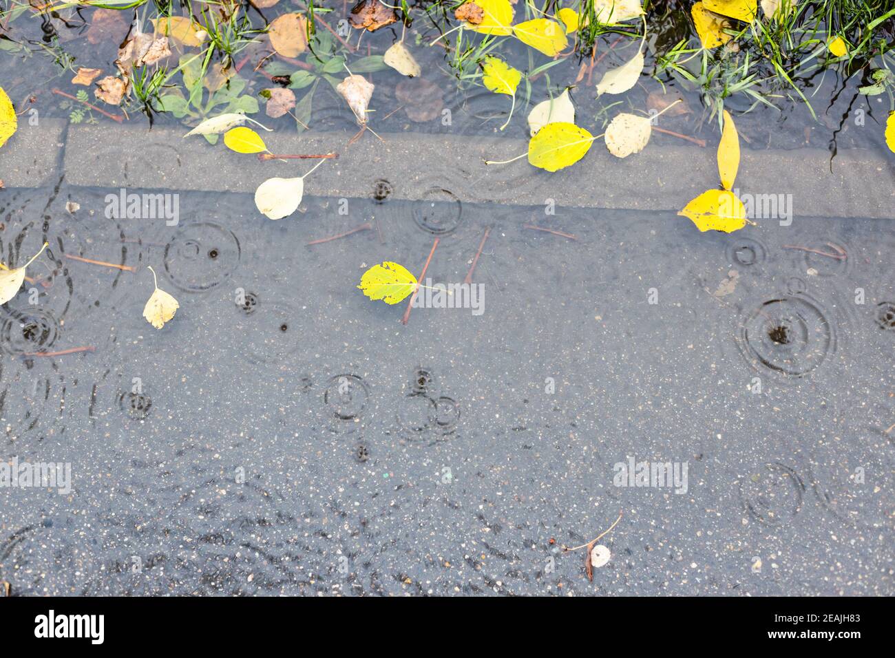 Puddle surface hi-res stock photography and images - Alamy