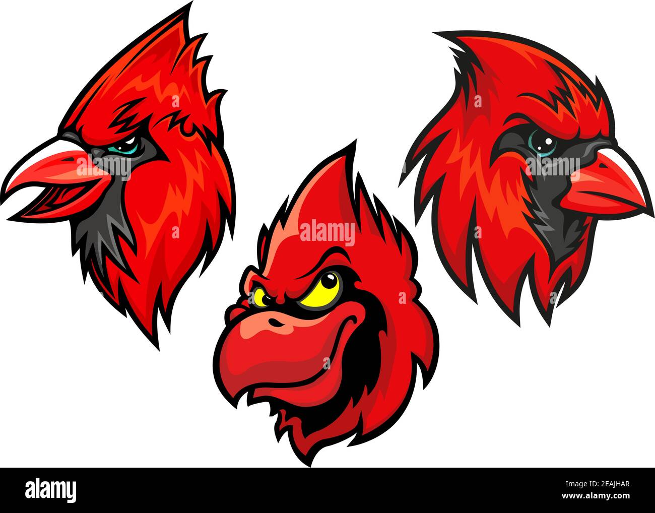 Cardinal mascot Stock Vector Images - Alamy