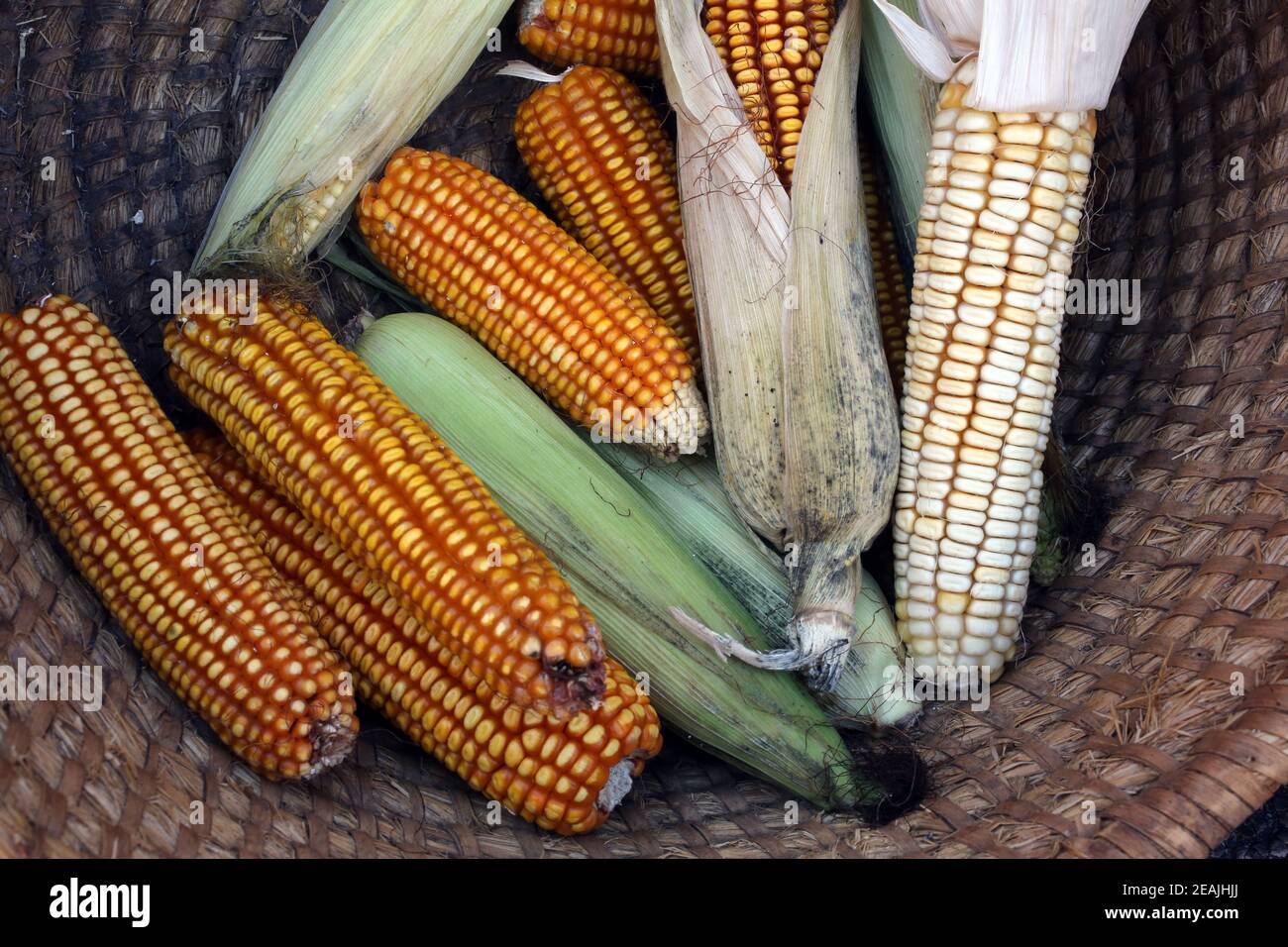 Wheat harvest festival hi-res stock photography and images - Alamy