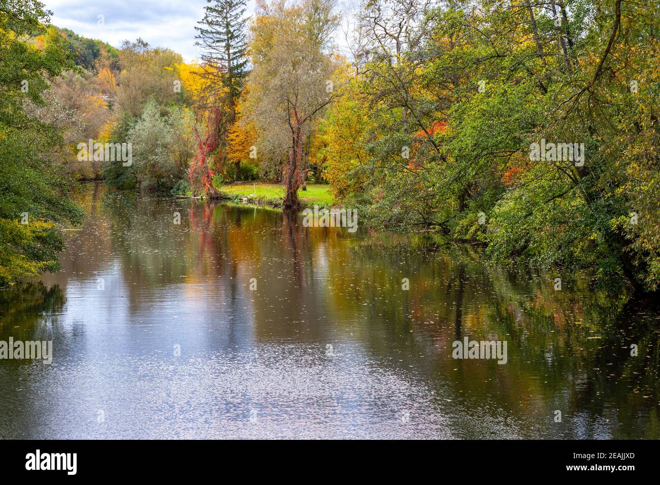 Multi colored trees hi-res stock photography and images - Alamy