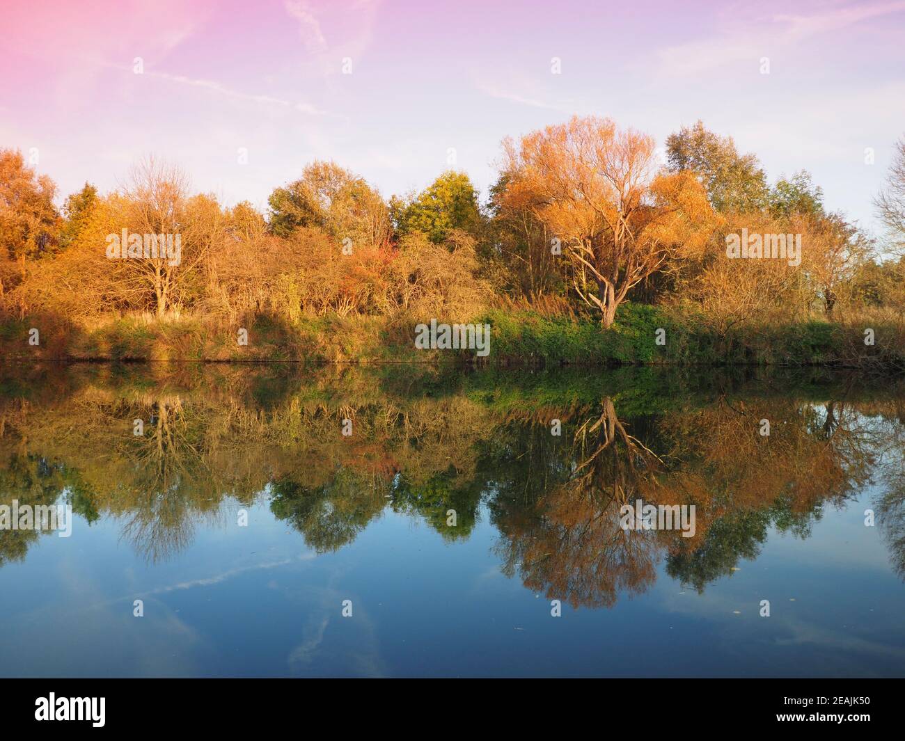 Autumn trees by the water Stock Photo - Alamy