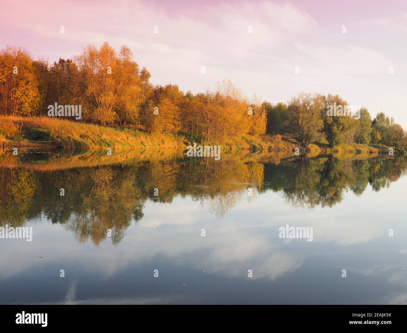 Autumn trees by the water Stock Photo - Alamy