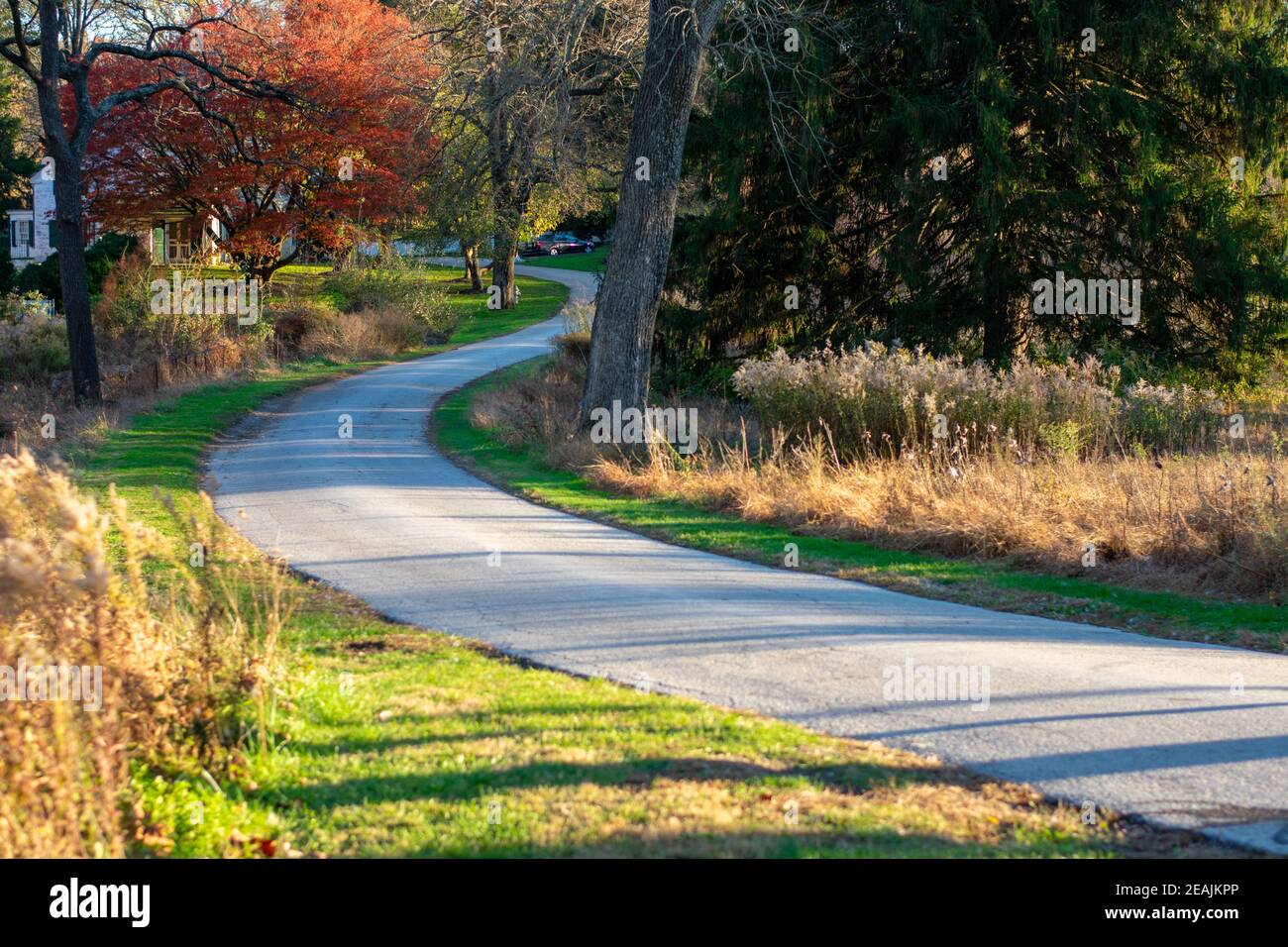 The forest green forge hi-res stock photography and images - Alamy