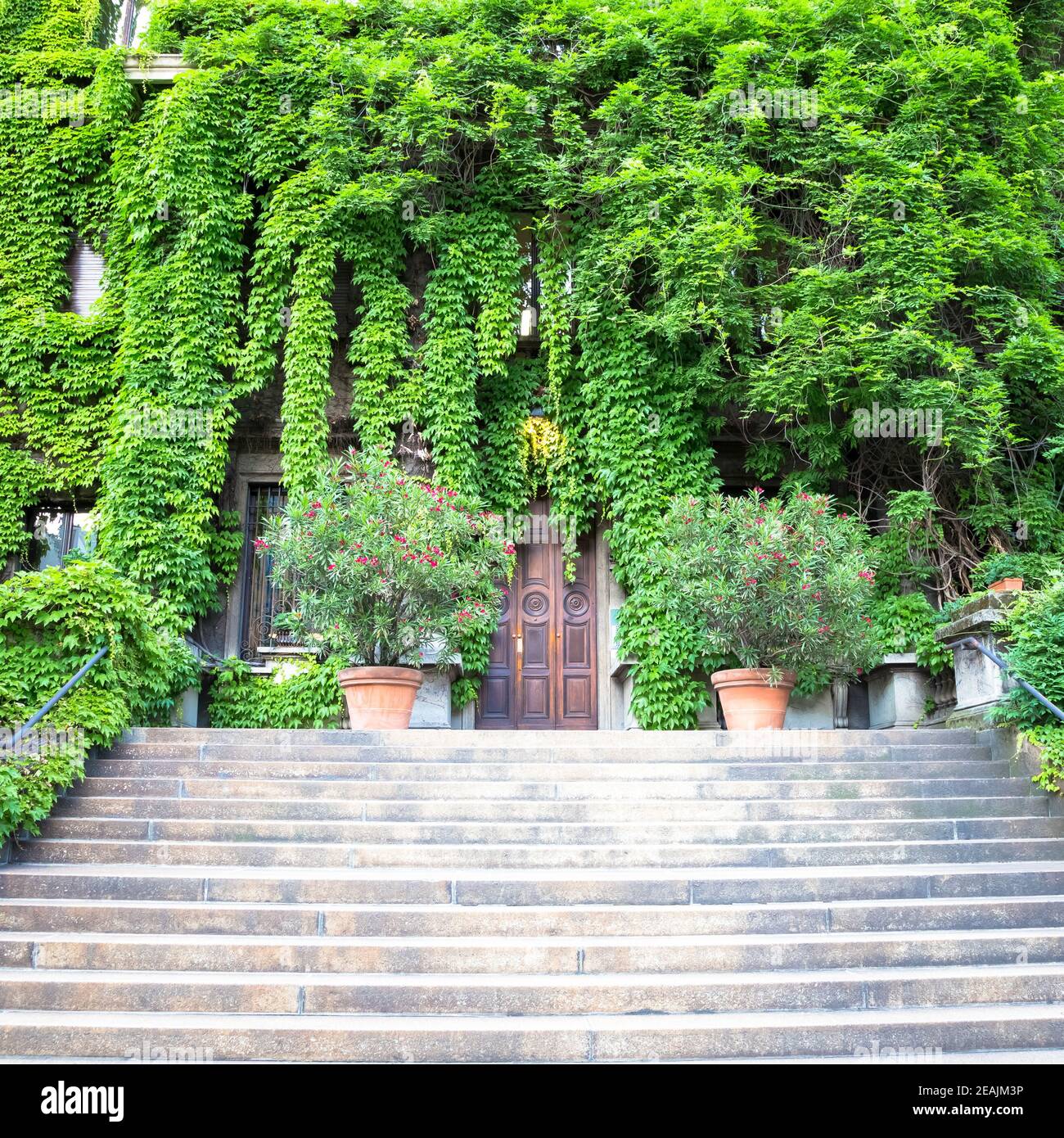 Real life nature hi-res stock photography and images - Alamy