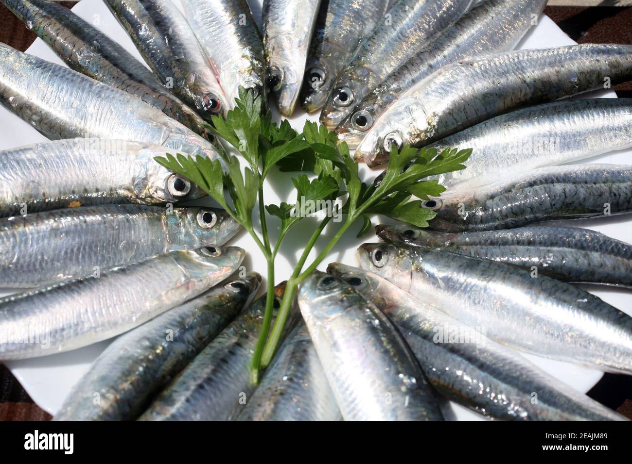 Fresh salt water Sardines Stock Photo - Alamy