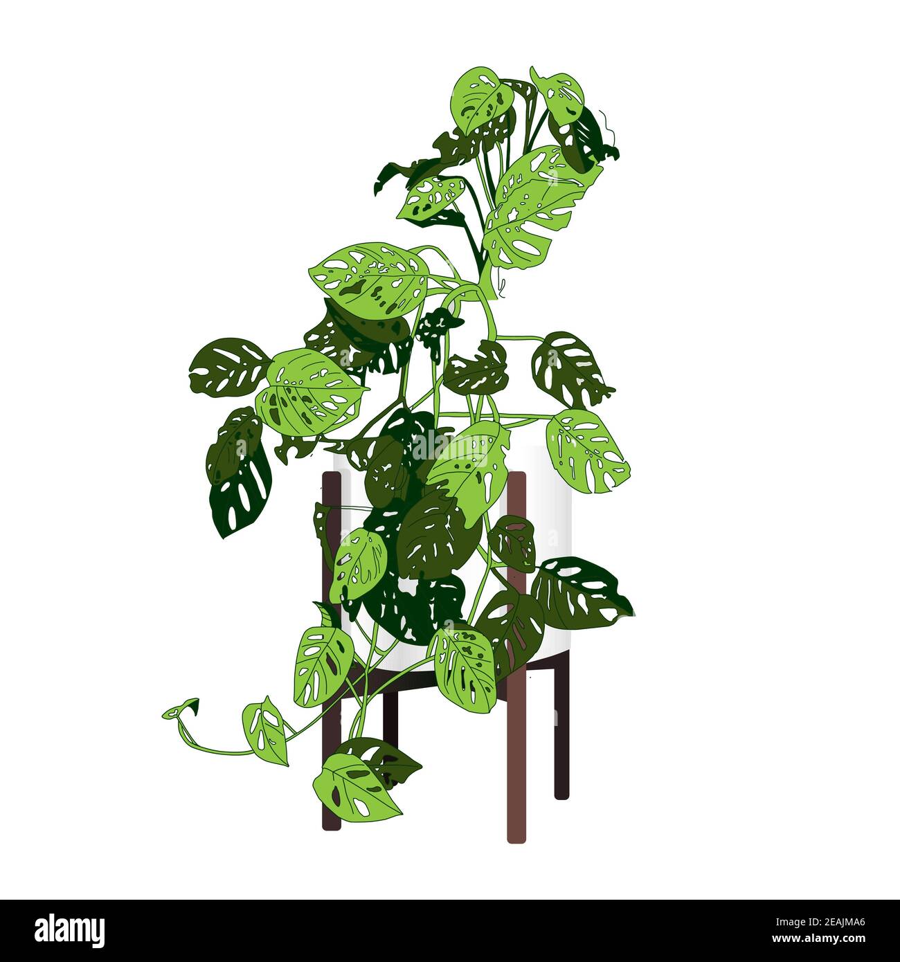 Climbing plant Trendy indoor. Modern flower pot. Plant vase. Plant ...