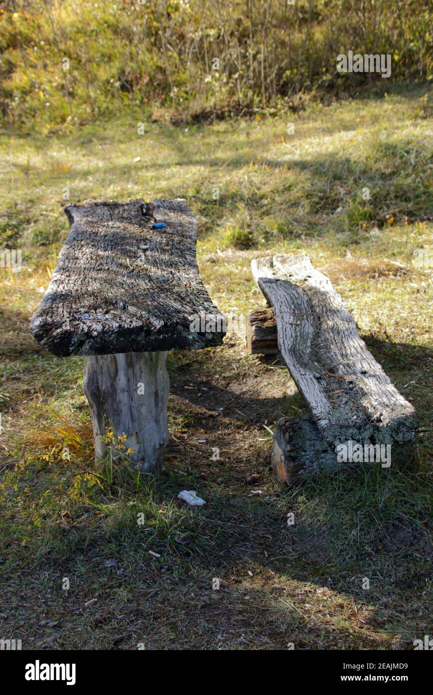 Old dilapidated bench with table on a meadow Stock Photo - Alamy