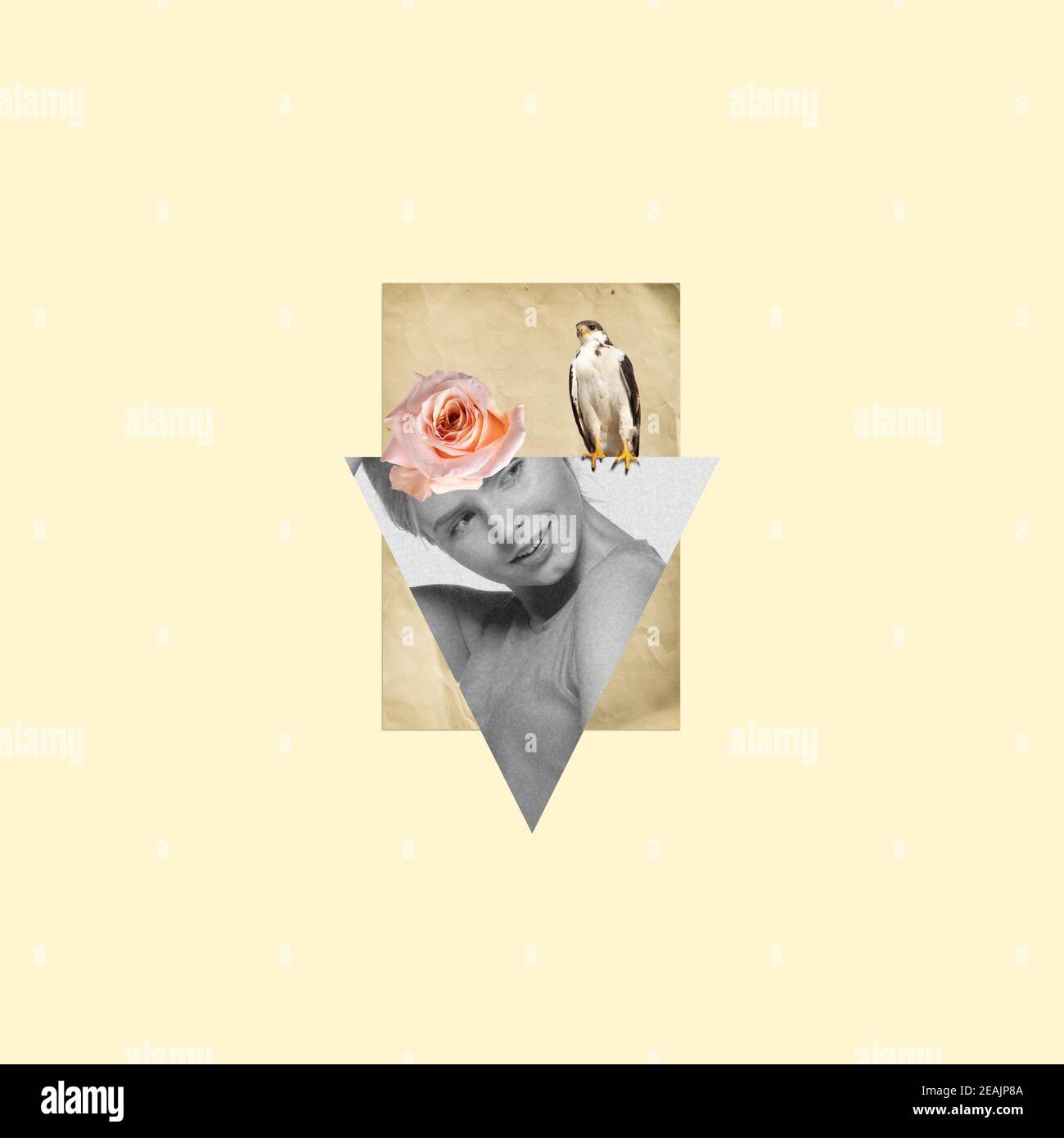 Modern design, contemporary art collage. Copyspace for design or text ...