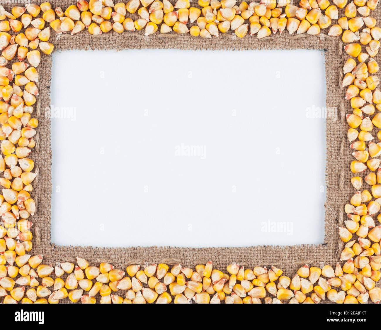 Frame of burlap and corn beans Stock Photo - Alamy