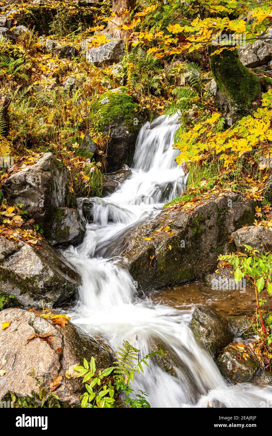 Todtnauberg hi-res stock photography and images - Alamy