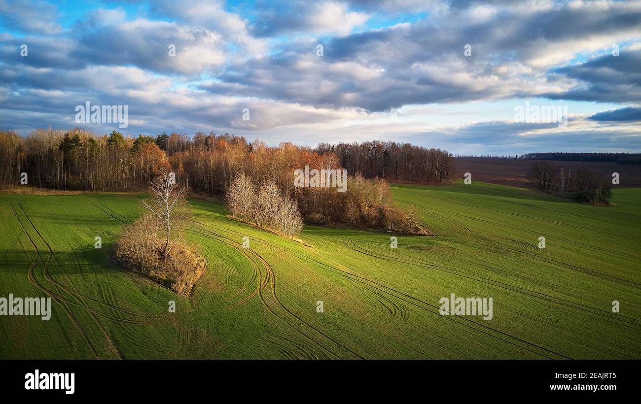 Agricultural light and shadow background. Tranquil farmland scene Stock ...
