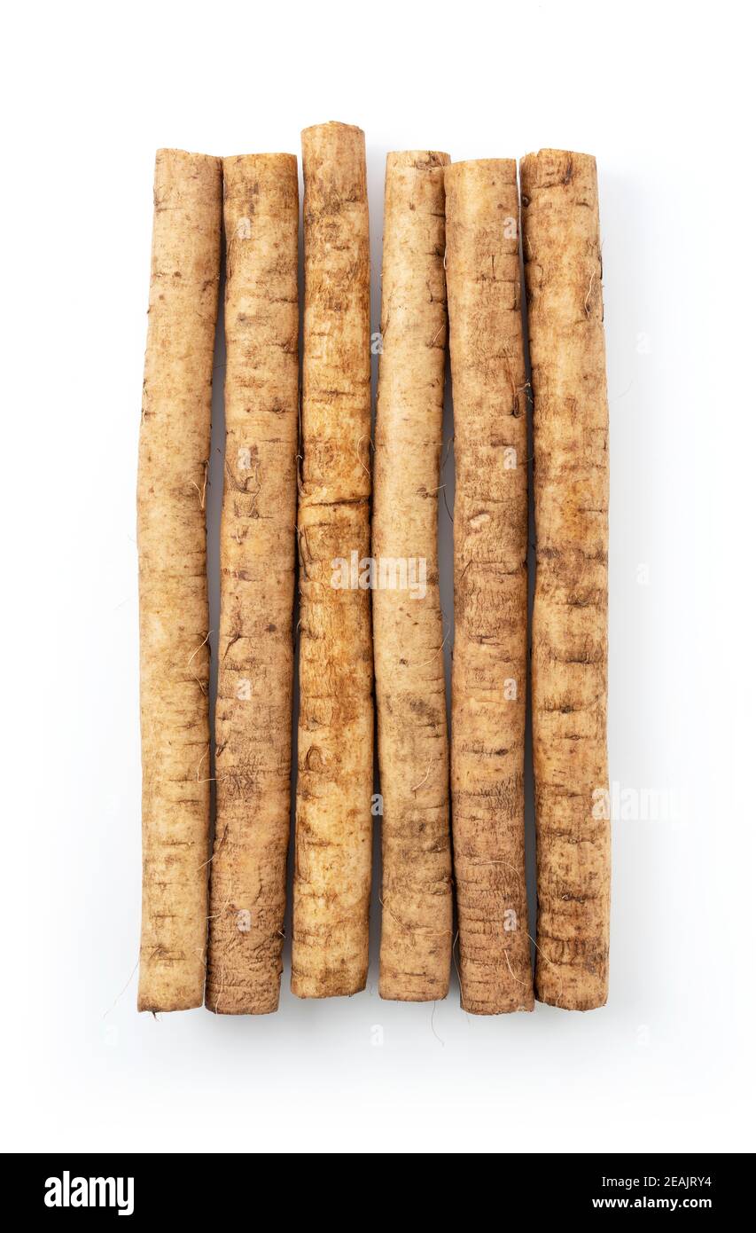 Edible burdock greater burdock roots hi-res stock photography and ...