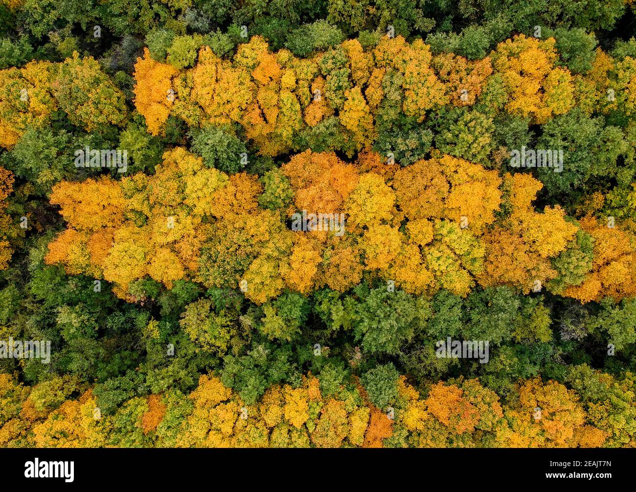 Aerial view air hi-res stock photography and images - Alamy