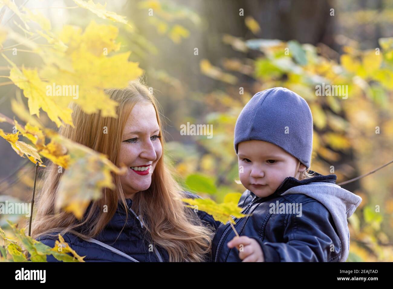 Under maple tree hi-res stock photography and images - Alamy