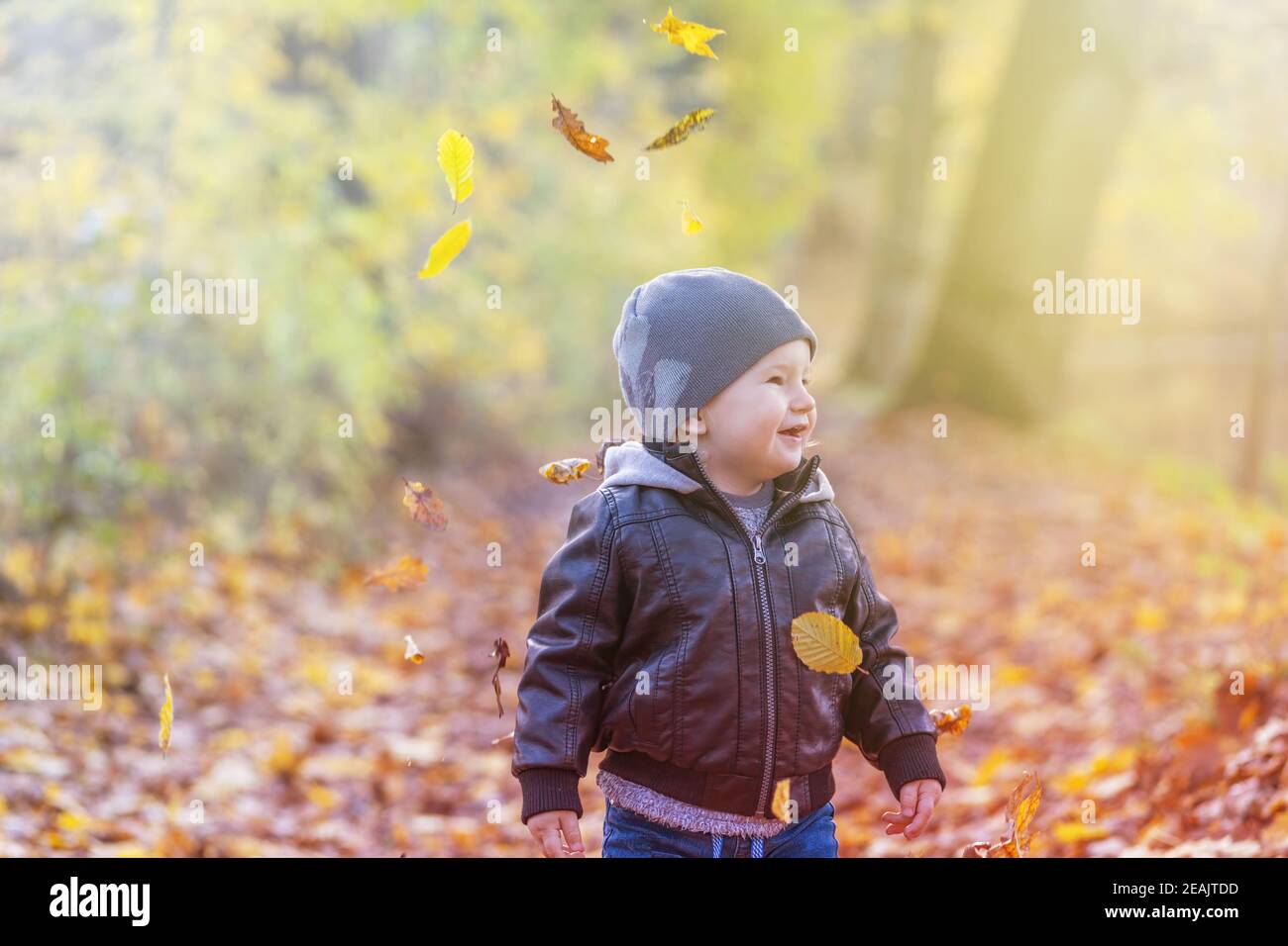 Smiling little boy is seeing falling autumn leaves outdoors Stock Photo ...
