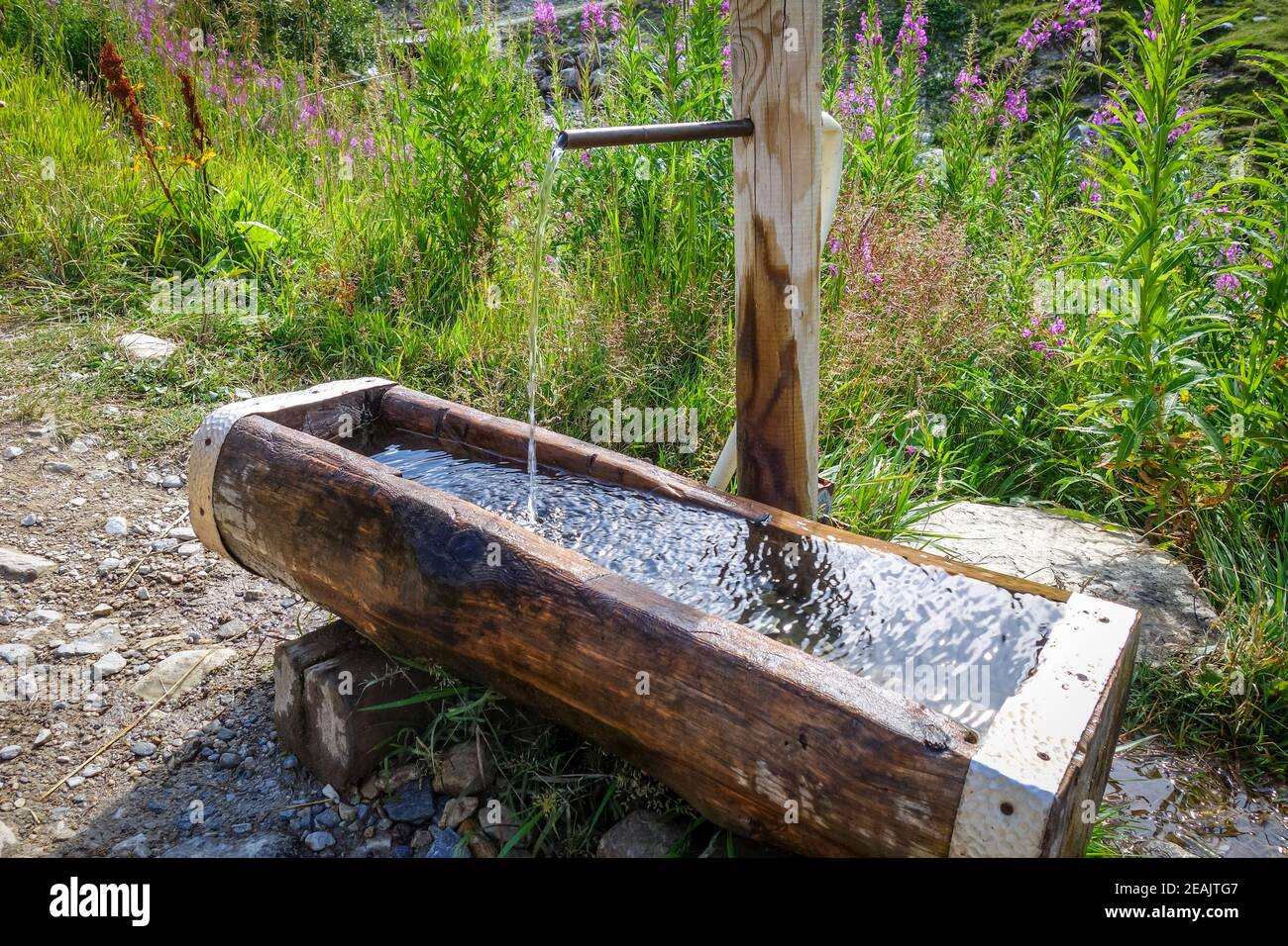 Mountain source fountain in French alps Stock Photo - Alamy