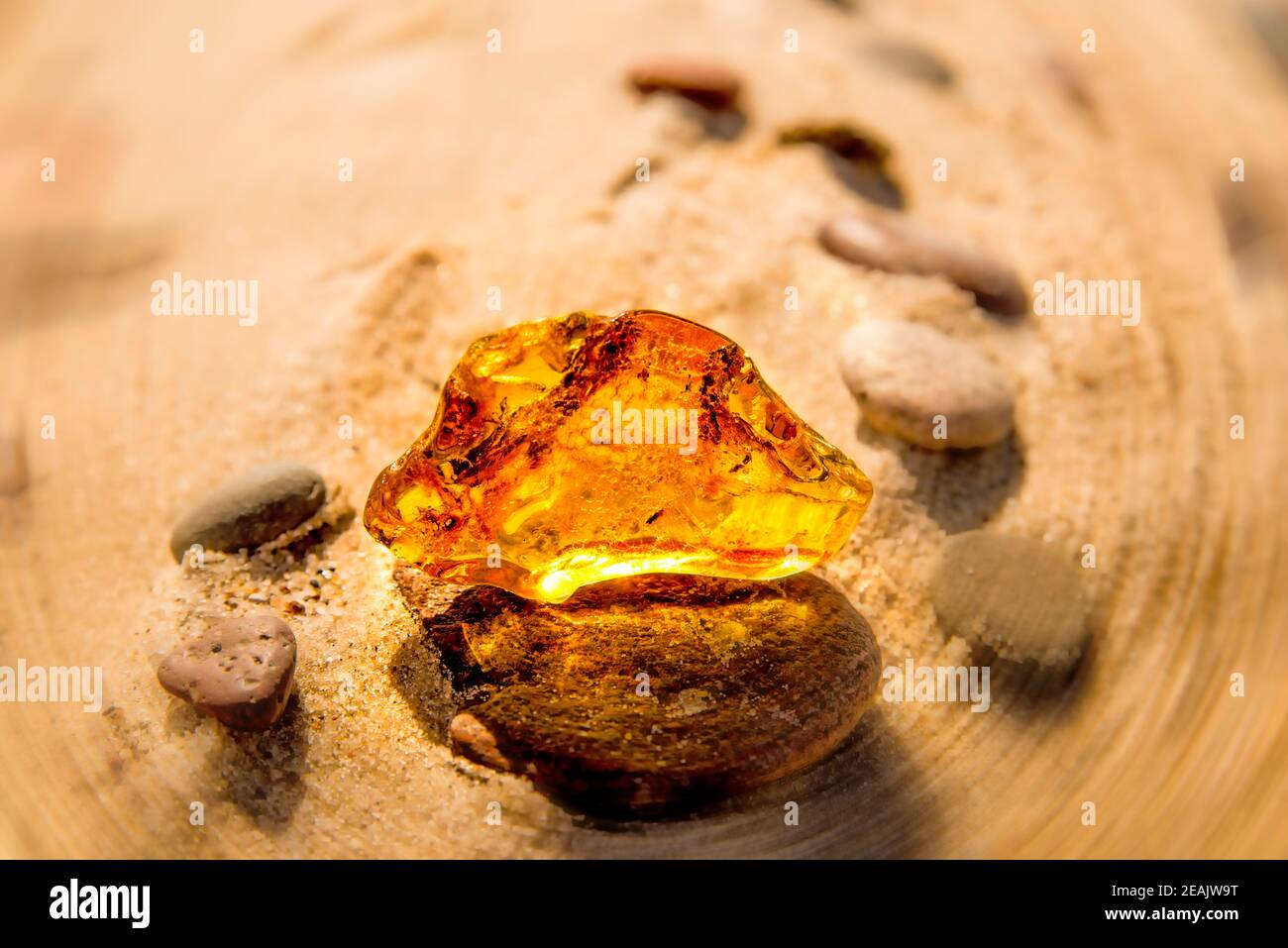 Amber on a beach of the Baltic Sea Stock Photo - Alamy