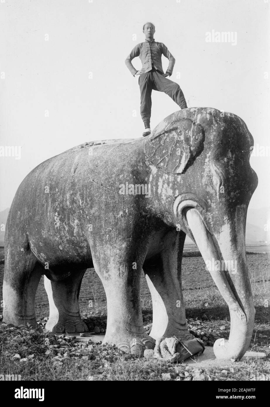 Man on top of stone elephant, imperial Ming tombs, China, c.1910 Stock ...