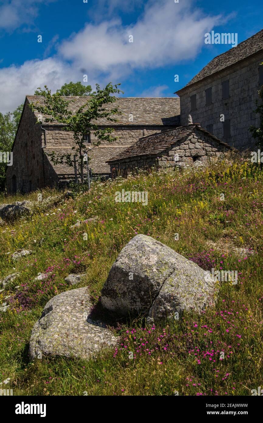 cevennes national park Stock Photo - Alamy