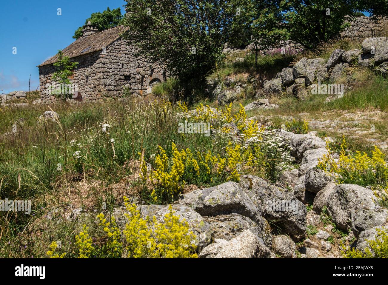 cevennes national park Stock Photo - Alamy