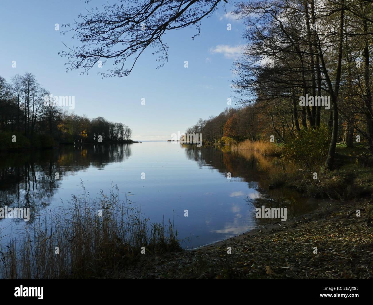 Fall evening on lake hi-res stock photography and images - Alamy