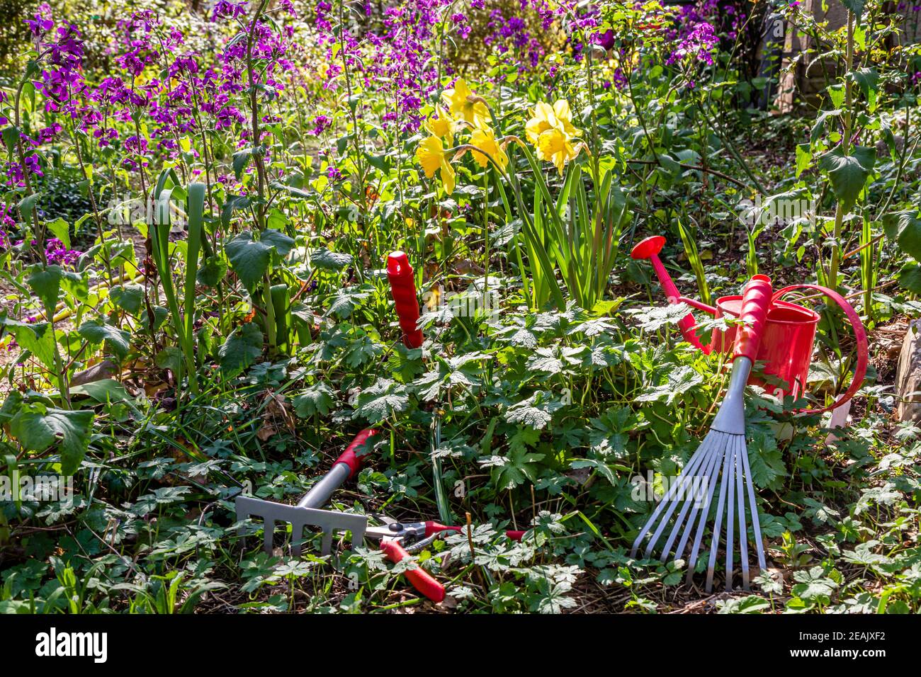 Watering can with flowers hi-res stock photography and images - Alamy