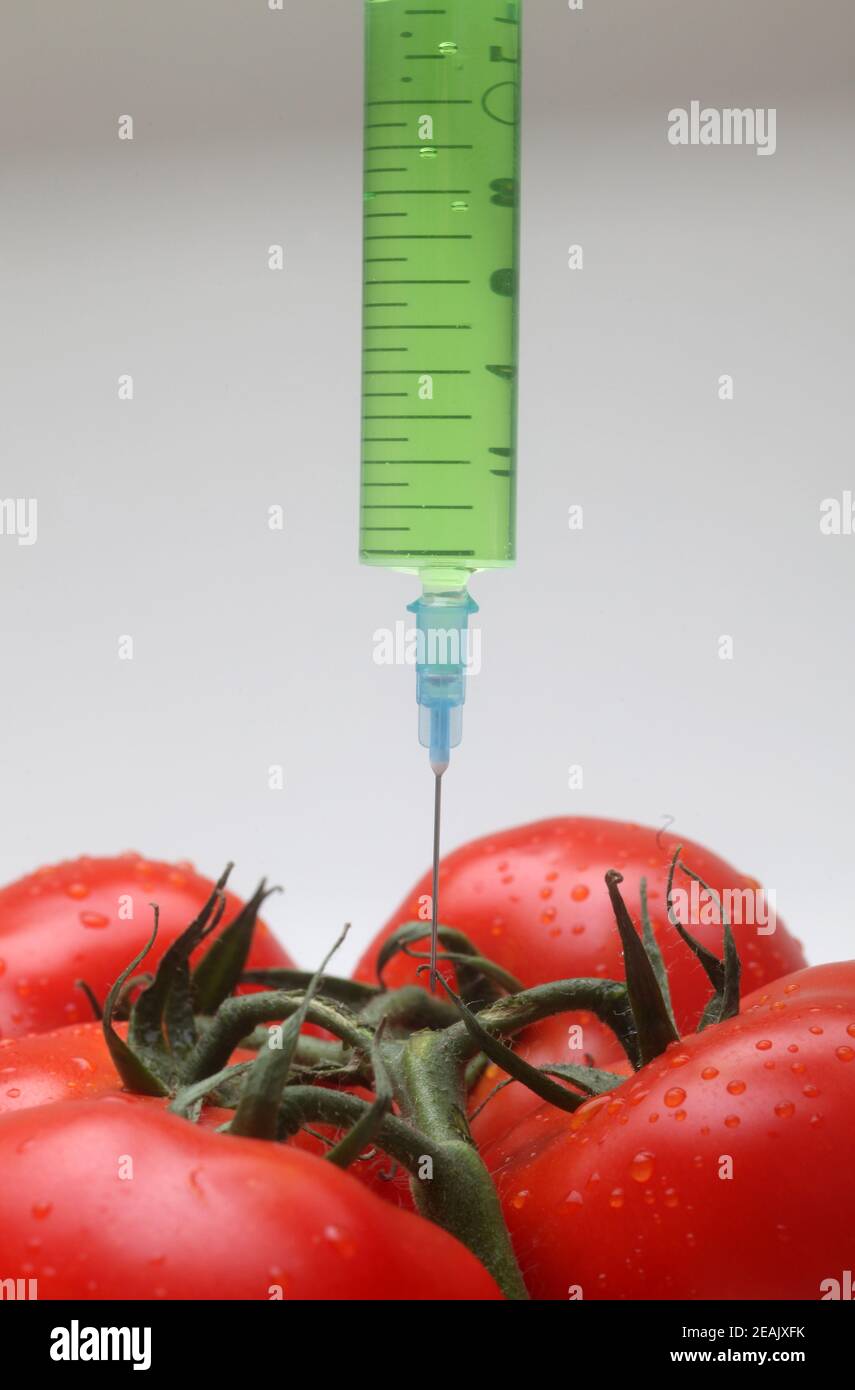 Injection into fresh red tomato Stock Photo - Alamy