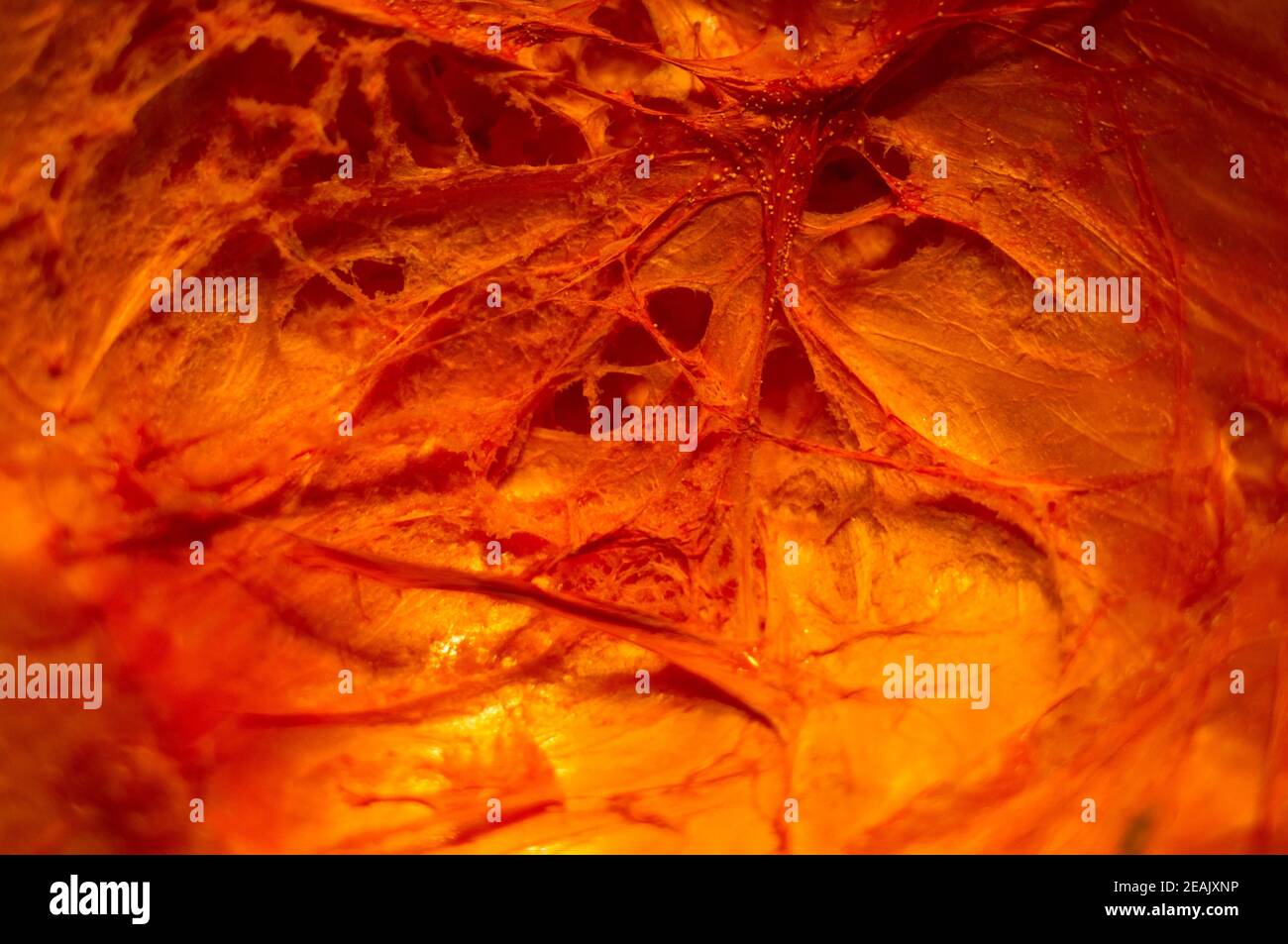 Amazing view of the cut orange pumpkin from the inside, close up Stock ...