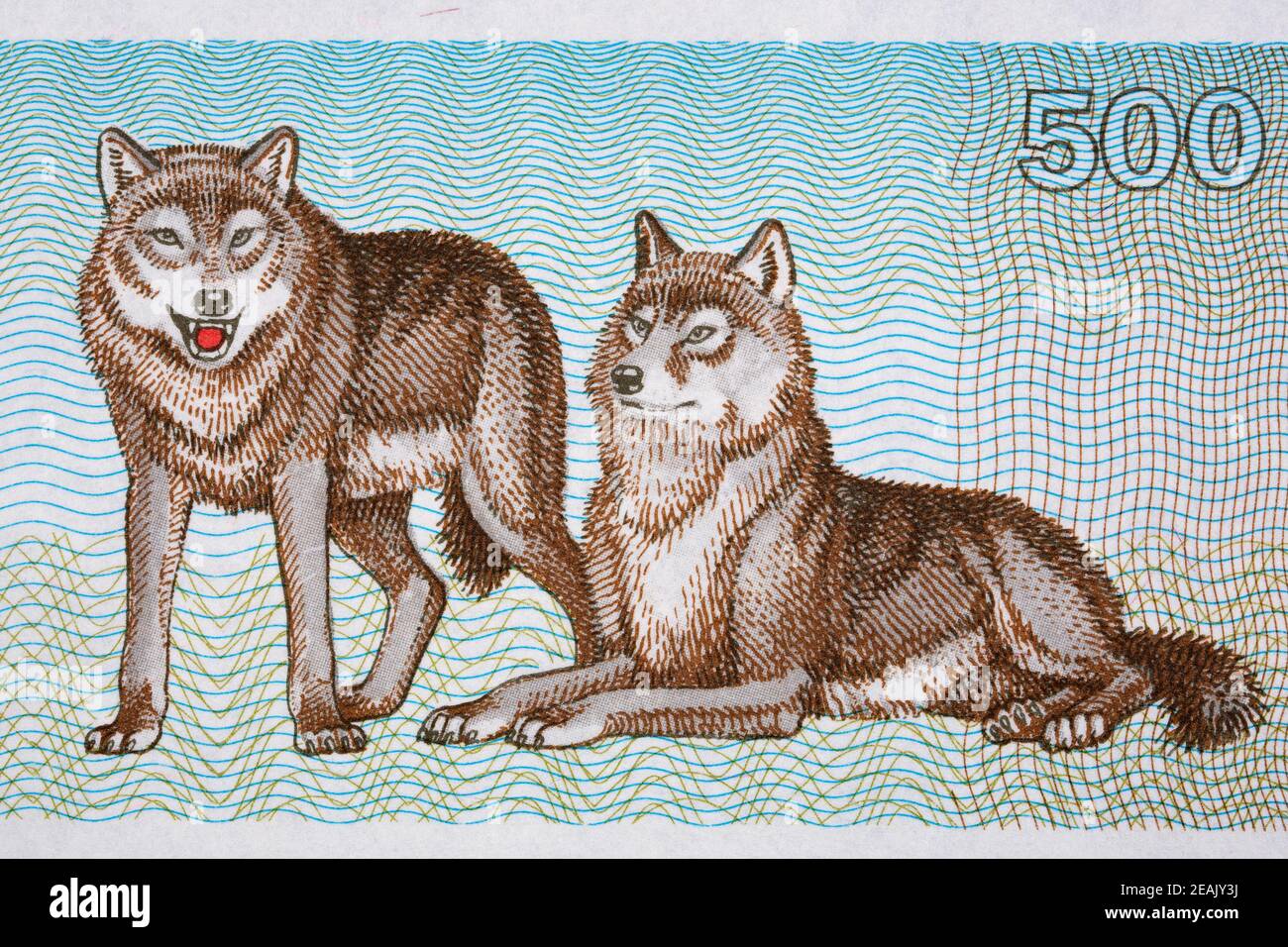 Wolves a portrait from Lithuanian money Stock Photo - Alamy