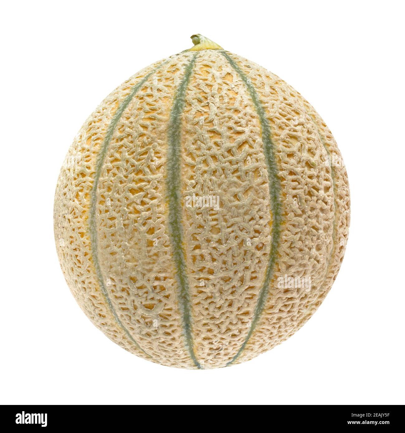 Melon over white Stock Photo - Alamy