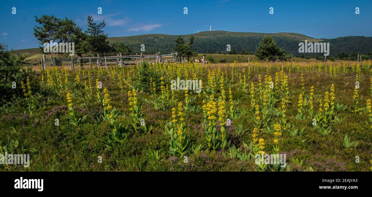 Agriculture day hi-res stock photography and images - Alamy