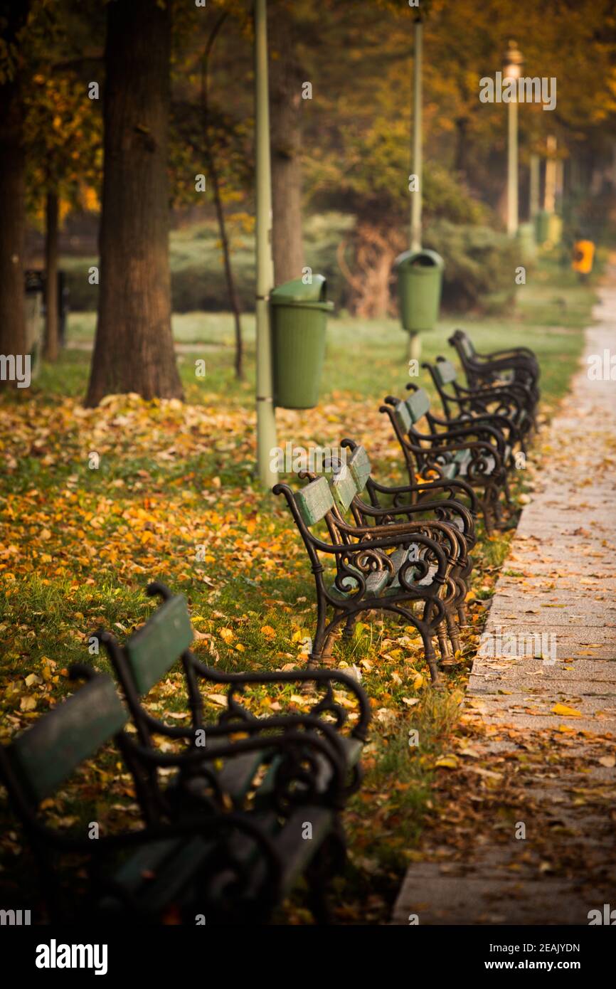 Row red benches in hi-res stock photography and images - Alamy