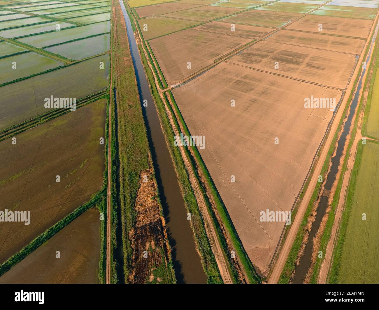 The rice fields are flooded with water. Flooded rice paddies. Agronomic ...
