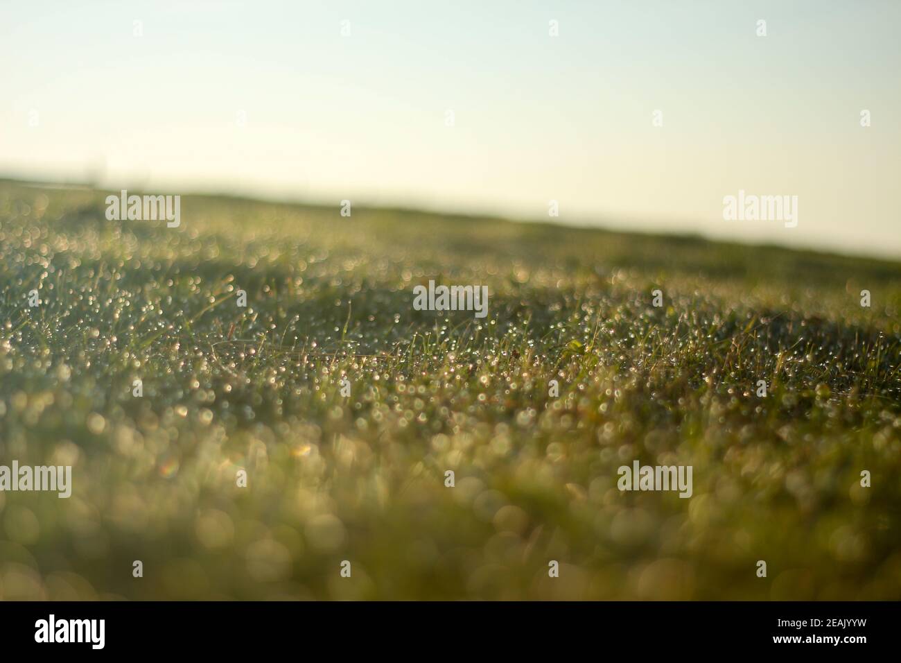 Dawn phenomenon hi-res stock photography and images - Alamy