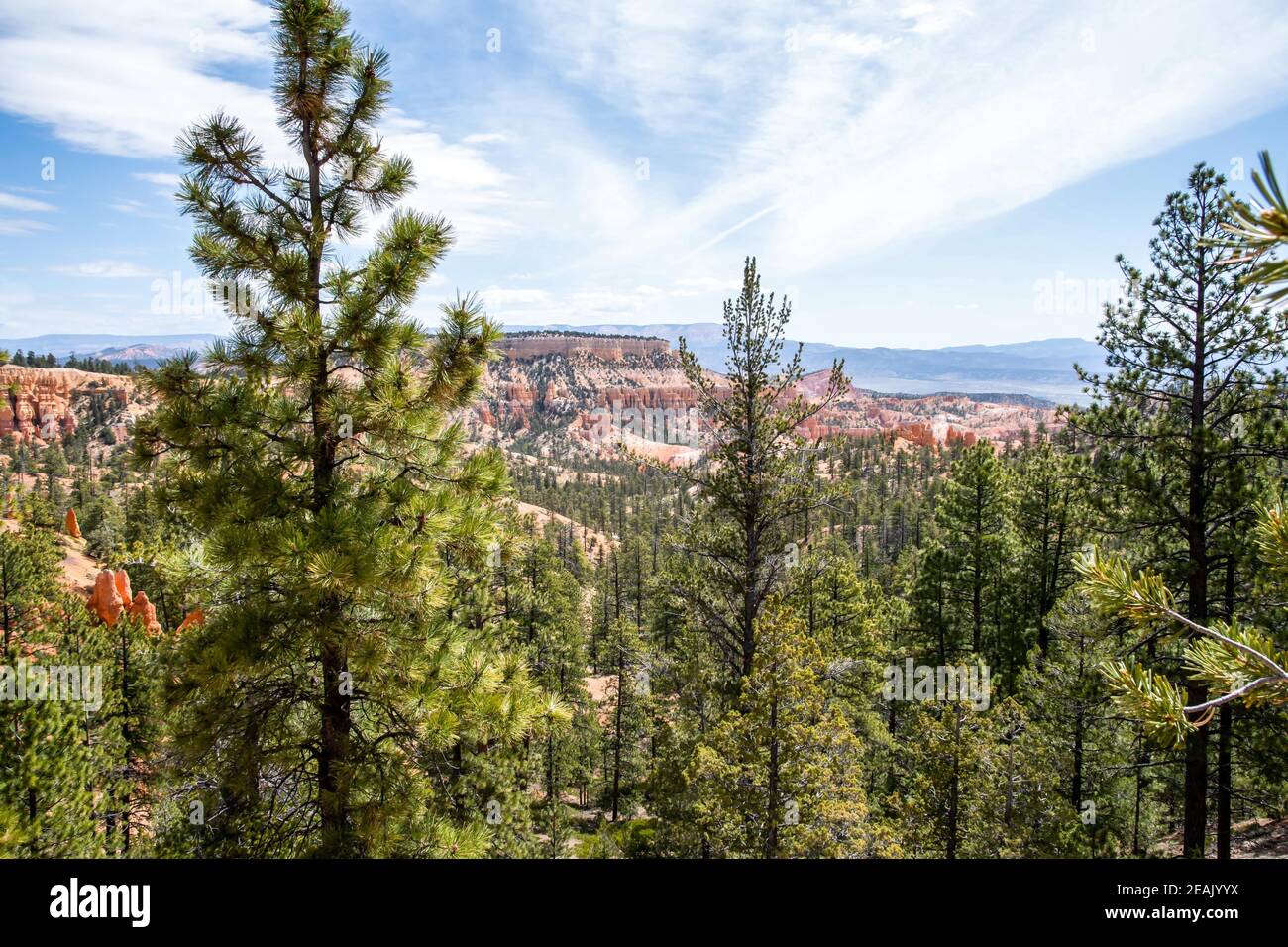 Red Rocks Hoodoos in Bryce Point at Bryce Canyon National Park, Utah ...