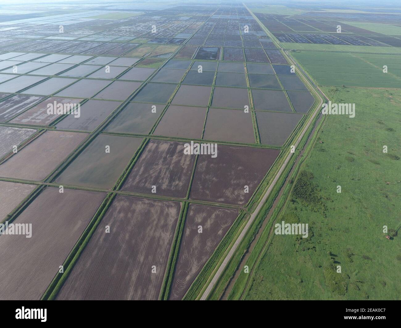 Paddy Fields Water Irrigation Canal High Resolution Stock Photography ...