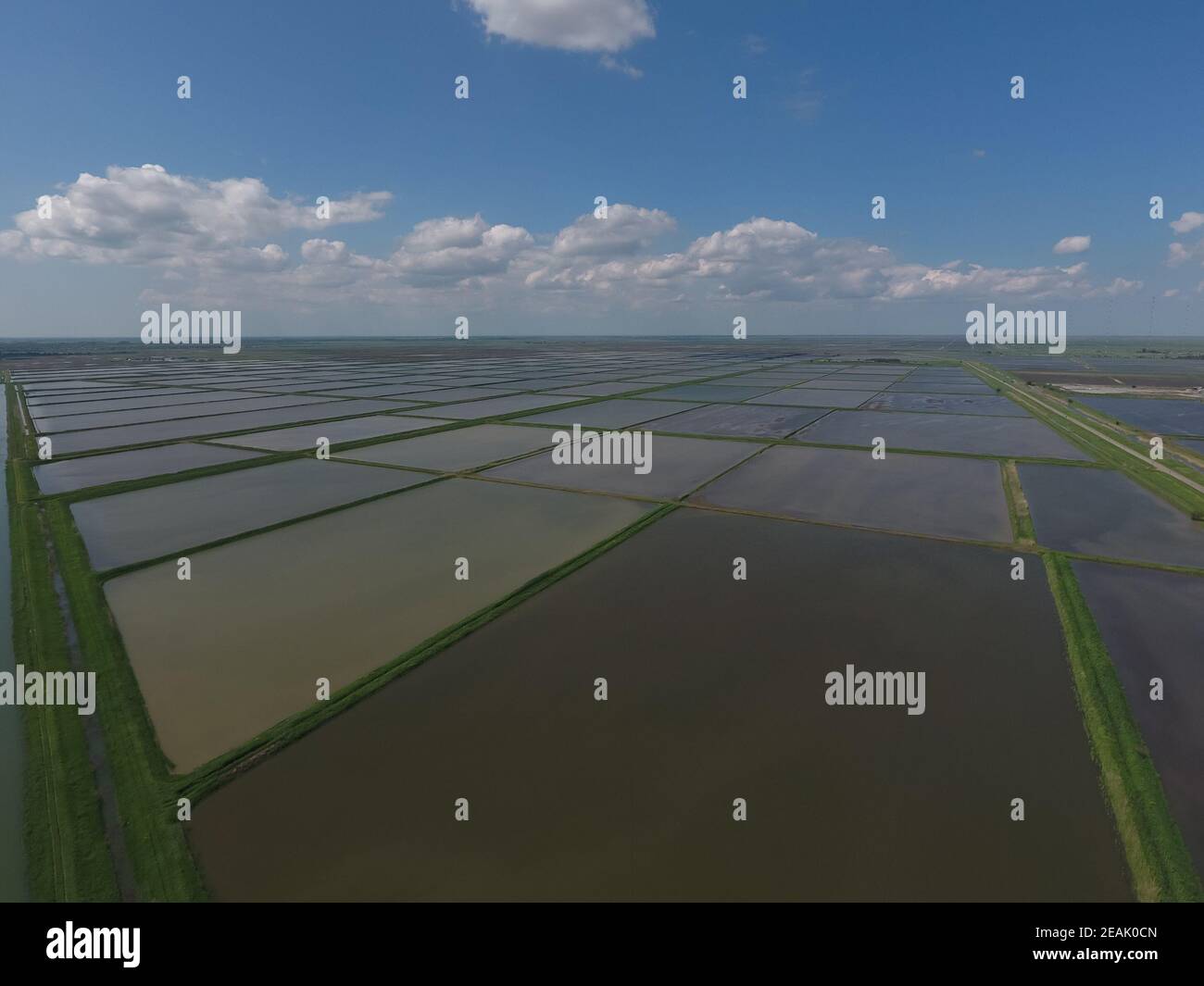 Paddy fields water irrigation canal hi-res stock photography and images ...