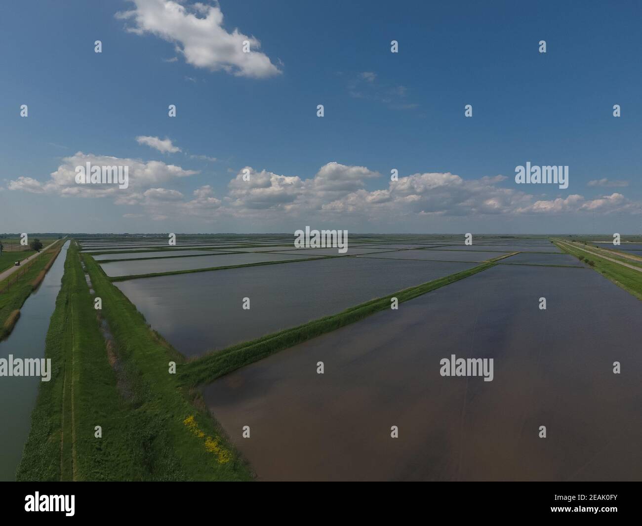 Flooded rice paddies. Agronomic methods of growing rice in the fields ...